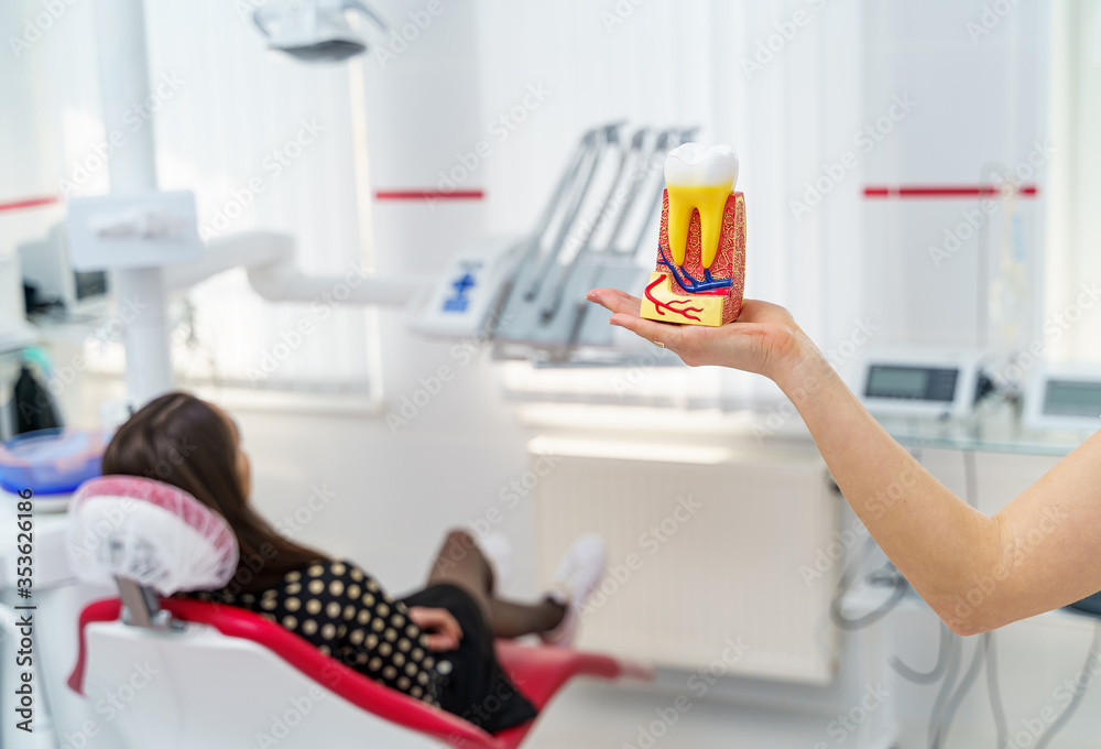 Doctor shows on a plastic jaw sample or model different methods of ...