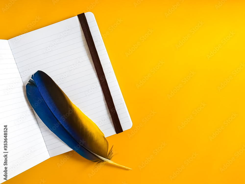 An open notebook with a feather of a bird in on an amber background ...