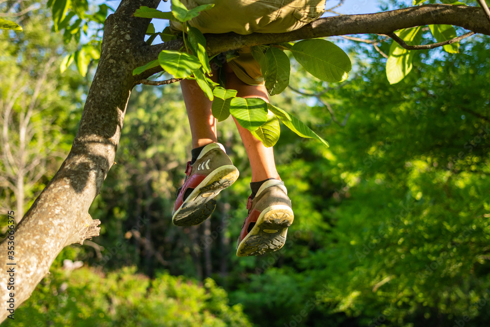 Kids sit on a tree with legs hang down. Childhood at nature concept ...