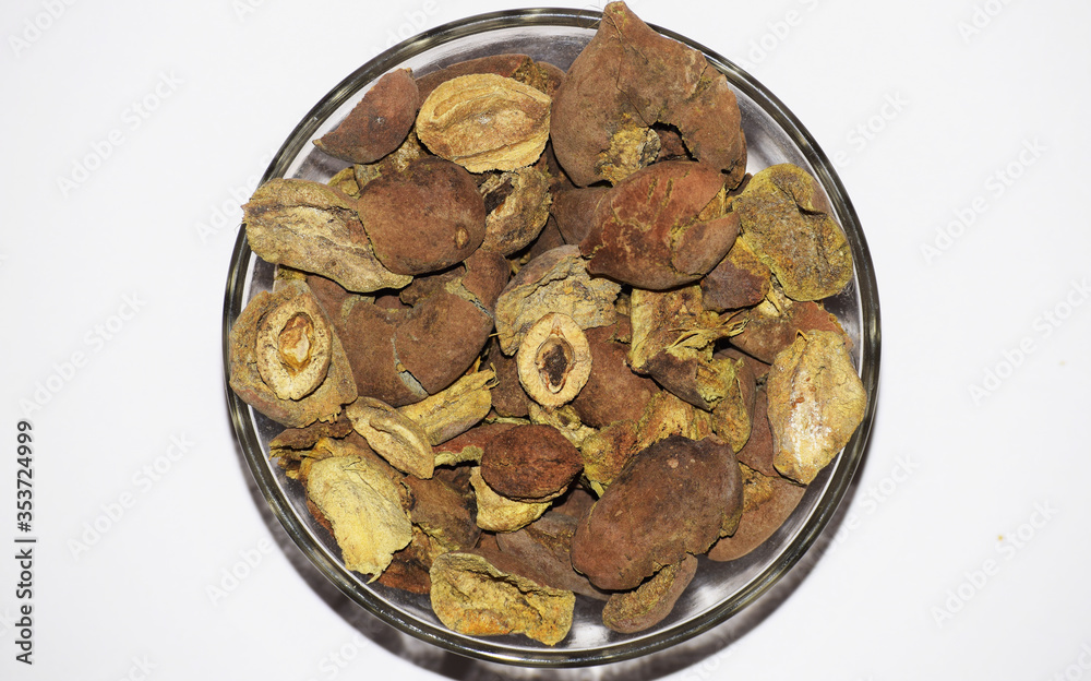 Baheda,Tropical almond, Bibhitaki, Terminalia bellirica, bastard ...