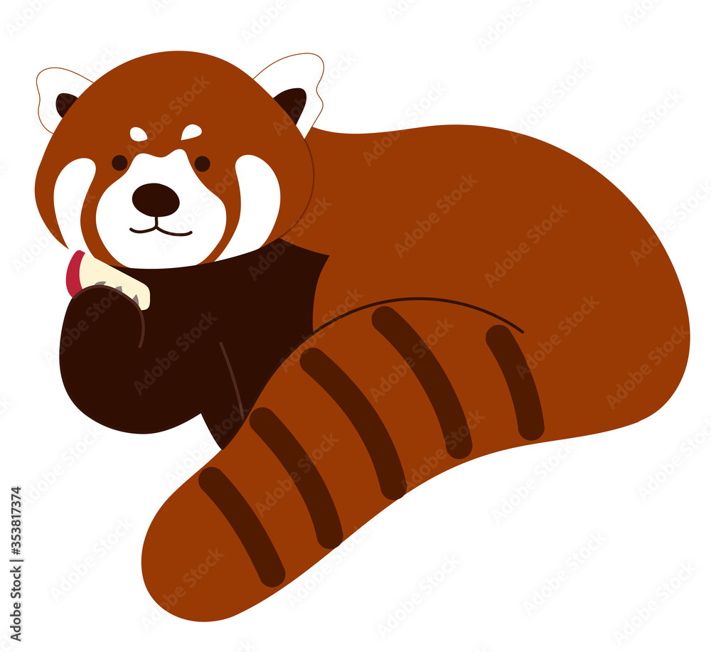 Red panda eating an apple. Vector illustration isolated on white ...