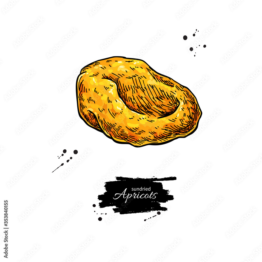 Dried apricot vector drawing. Hand drawn dehydrated fruit illustration ...