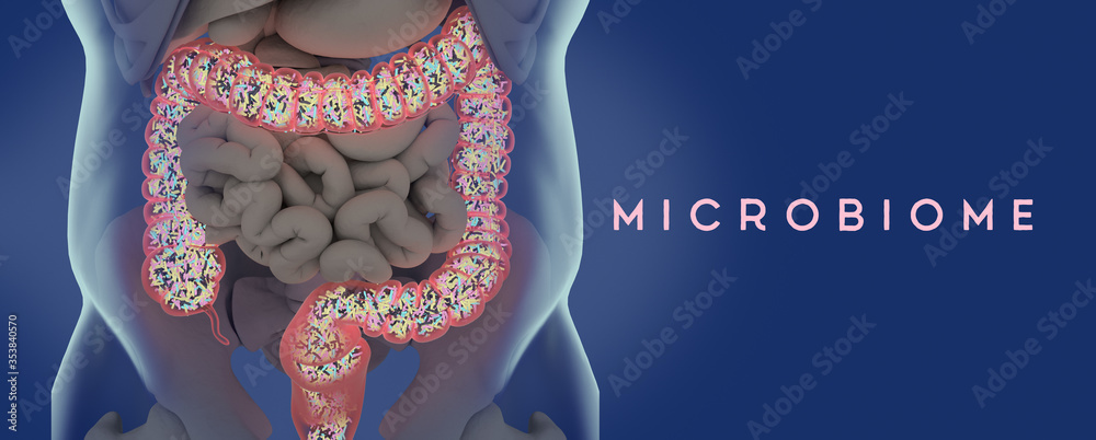 Human microbiome large intestine filled with bacteria. Title ...