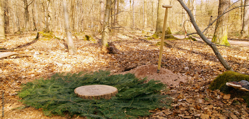 Woodland burial. Cemetery. Empty Tomb, preparation of near-natural ...
