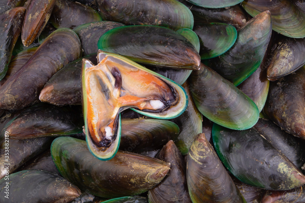 Many fresh raw green mussels as background, Perna Viridis Stock Photo ...