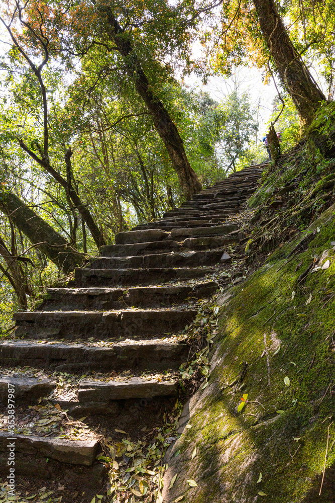 Stone Stairs on Mountain Path in Jungle of Nepal on Annapurna Base Camp ...