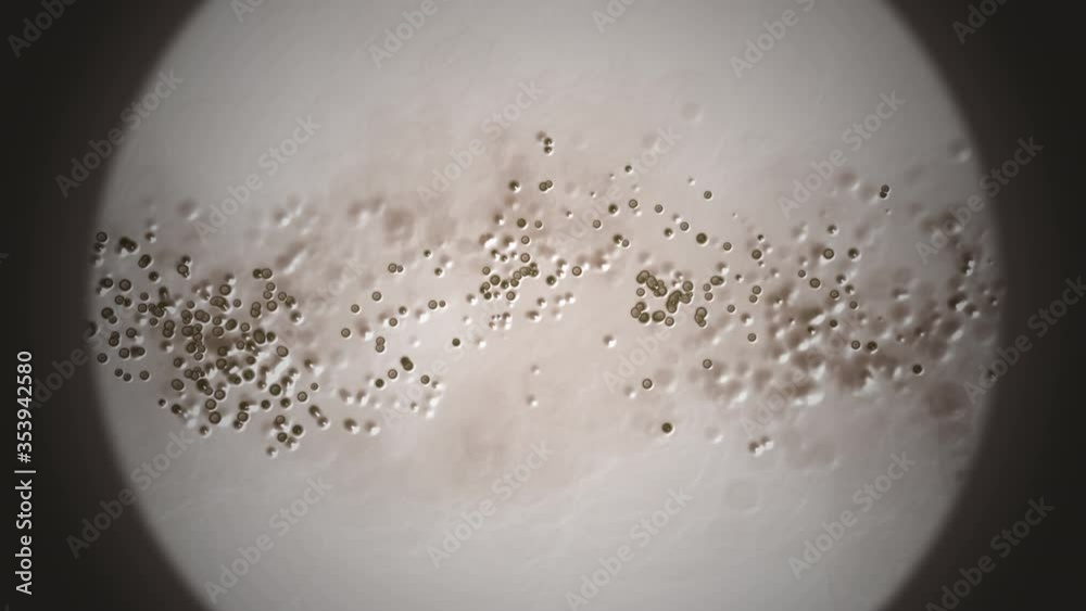 particle animation under the microscope. close plan. background for ...