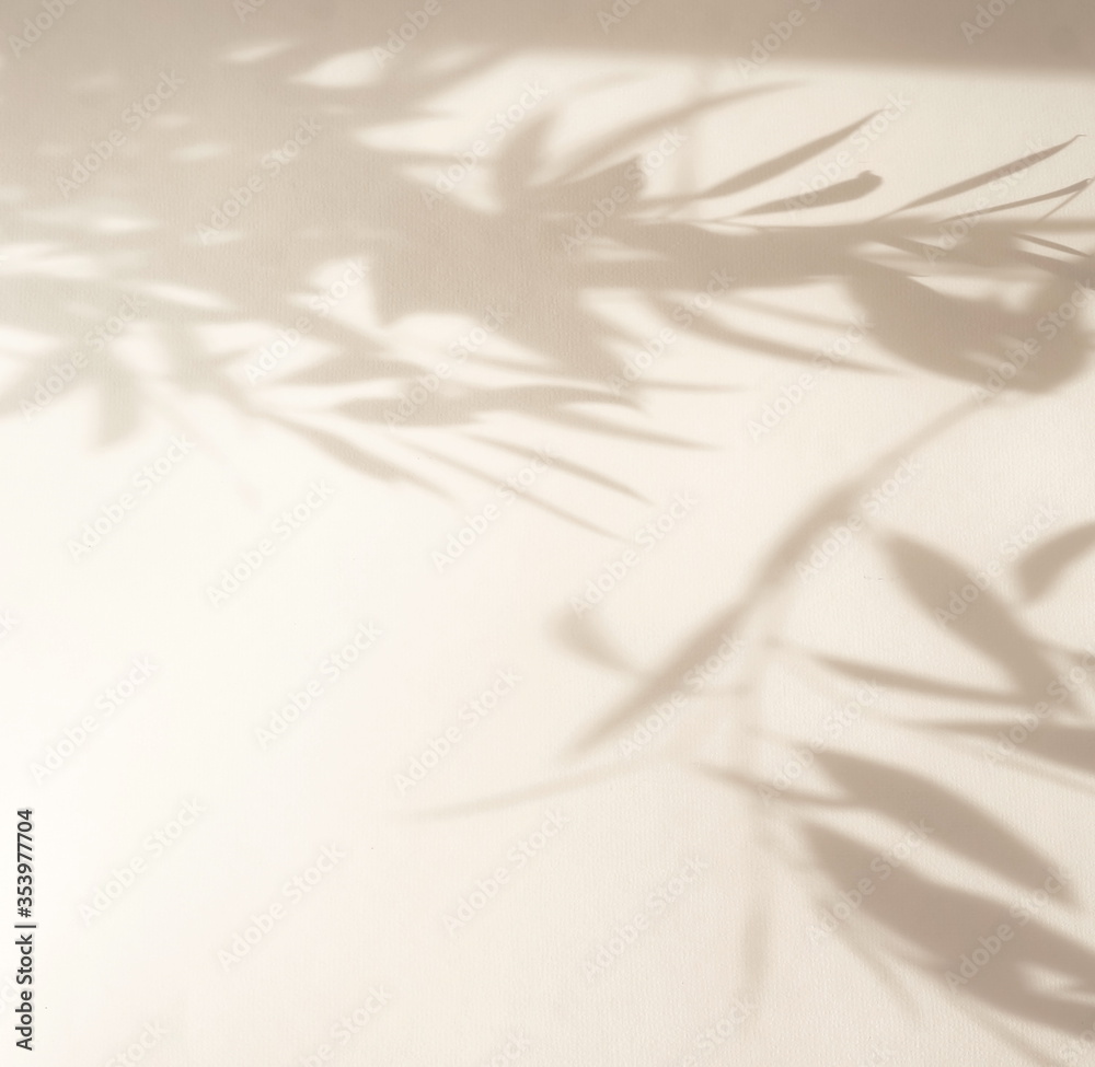 Abstract natural leaves shadows background on beige color wall texture ...