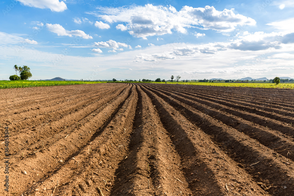 Rows of soil before planting. Furrows row pattern in a plowed field ...