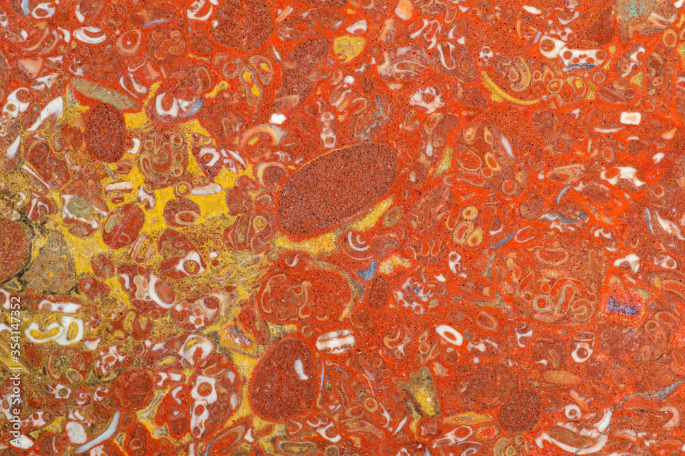 Texture of red-yellow limestone filled with multiple various fossils ...