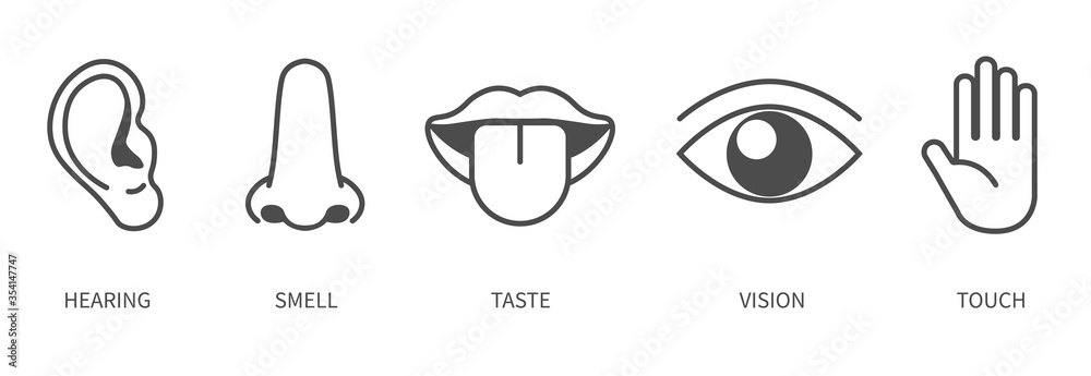 Set of sensory organs in a flat line style. Smell of nose, eye sight ...