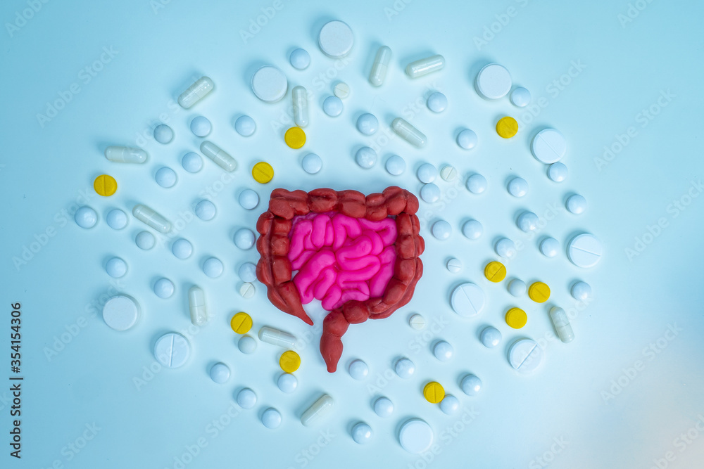 Human intestine surrounded by pills on a white background. Treatment of ...