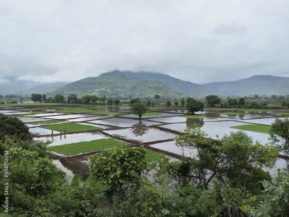 Konkan the land of nature Maharashtra Stock Photo | Adobe Stock