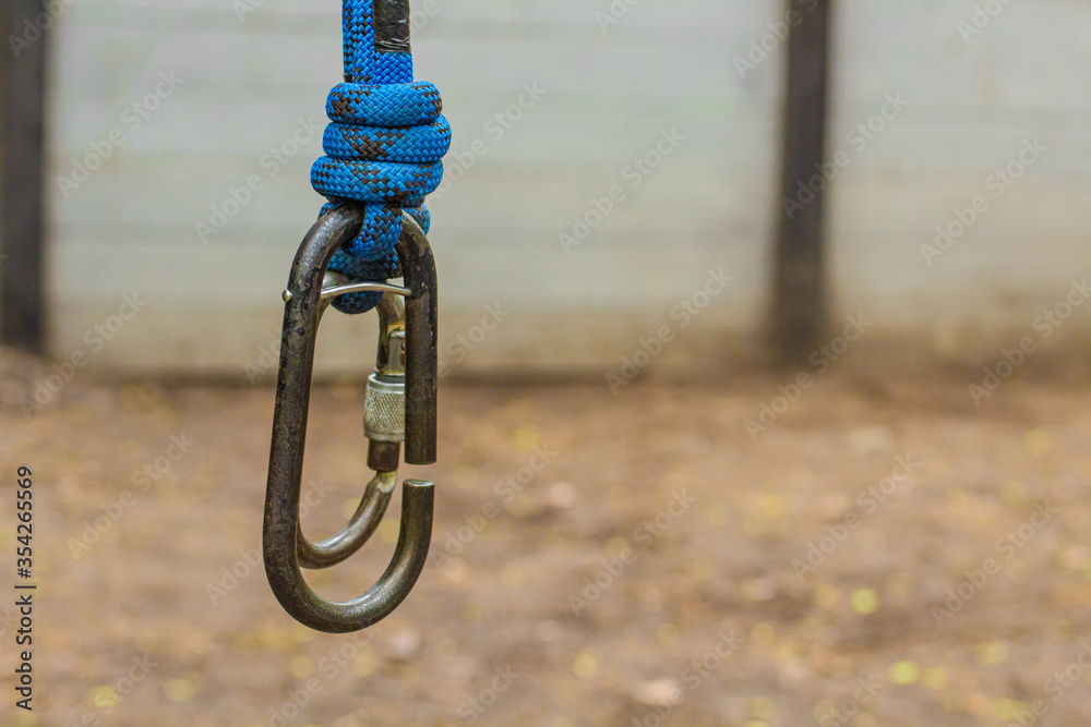 Image of a carabine hooks with blue climbing ropes hanging down ...