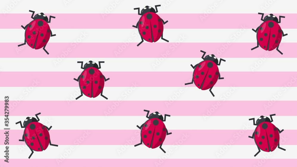 ladybug insect animation background seamless looping Stock Video ...