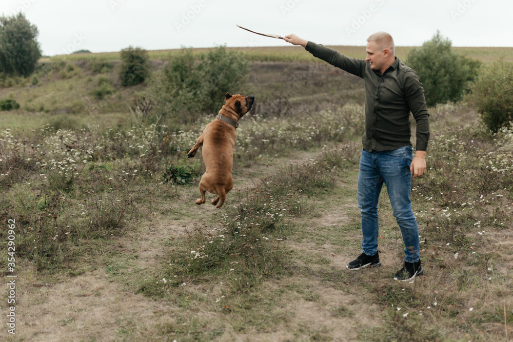 Man in nature training the dog to jump uphill. Man and dog Stock Photo ...