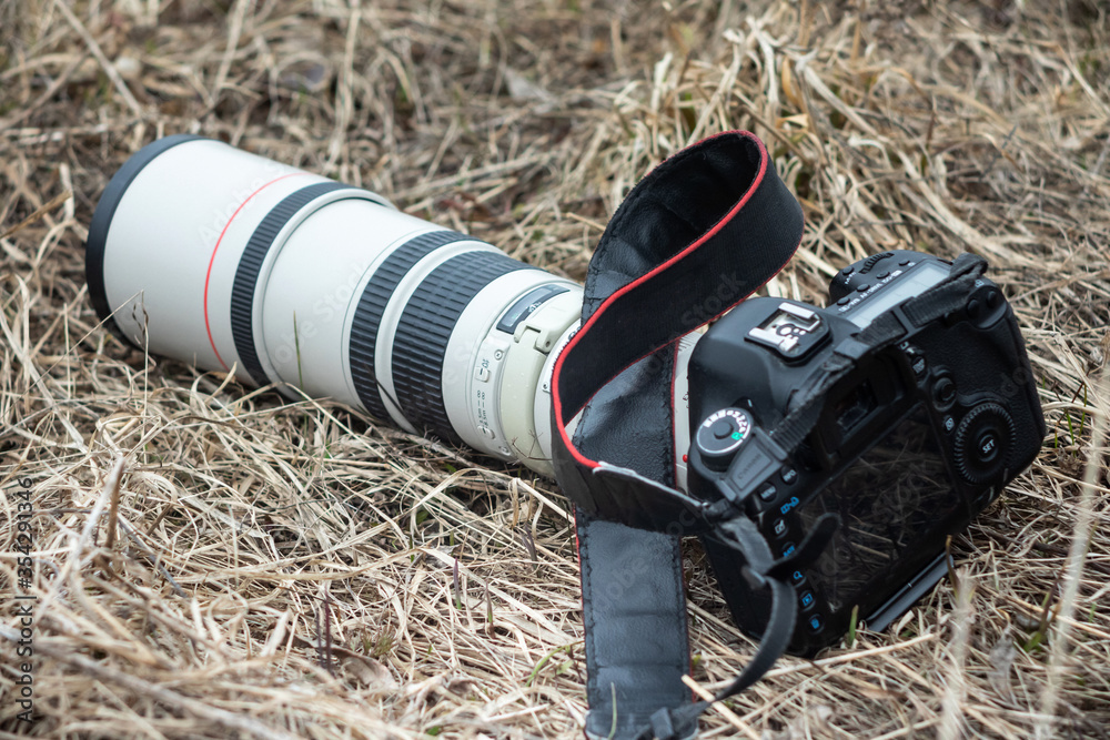 Professional camera lies on dry grass Stock Photo | Adobe Stock