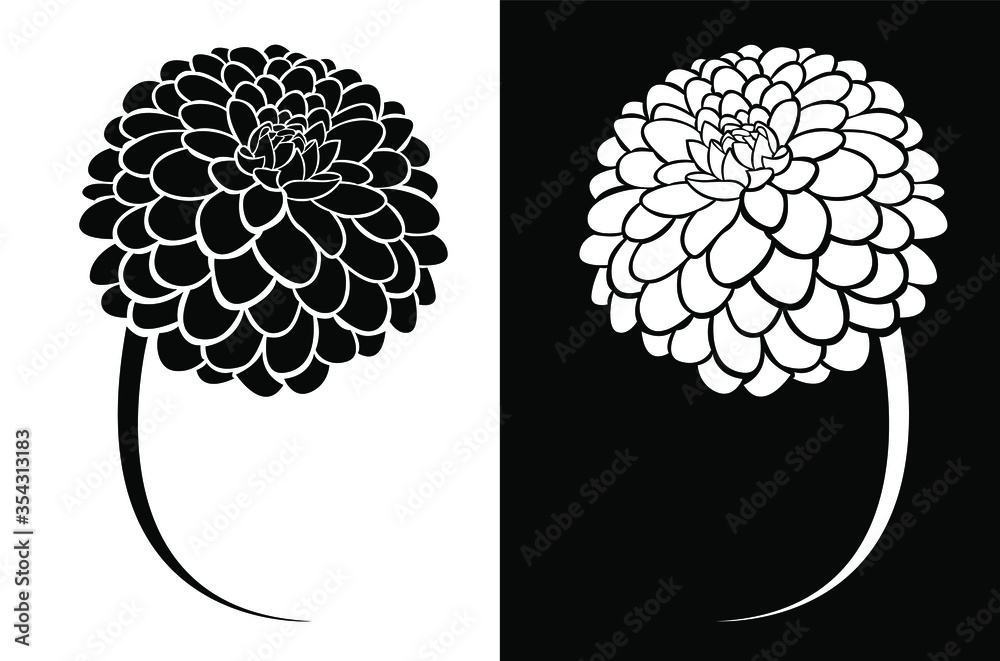 vector illustration of a Dahlia flower isolated on black and white ...