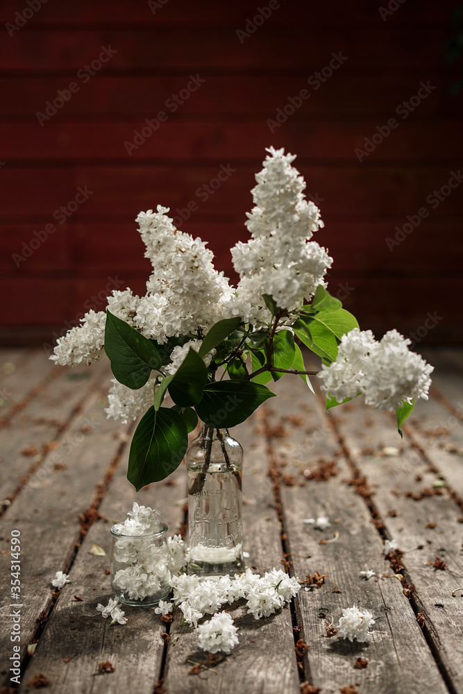 Lilak pospolity (Syringa vulgaris) Stock Photo | Adobe Stock