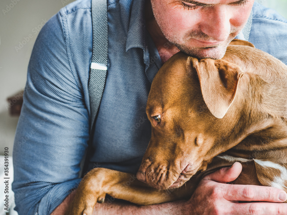 Handsome man hugging a charming puppy. Close-up, indoors. Studio photo ...