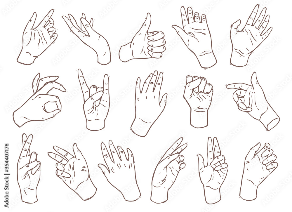 Vector set of linear female elegant hands. Women's arms collection for ...