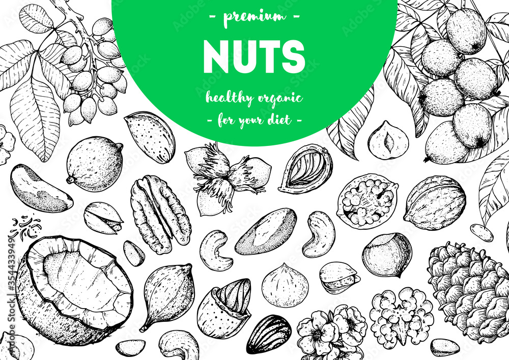 Nuts collection hand drawn sketch. Vector illustration. Organic healthy ...