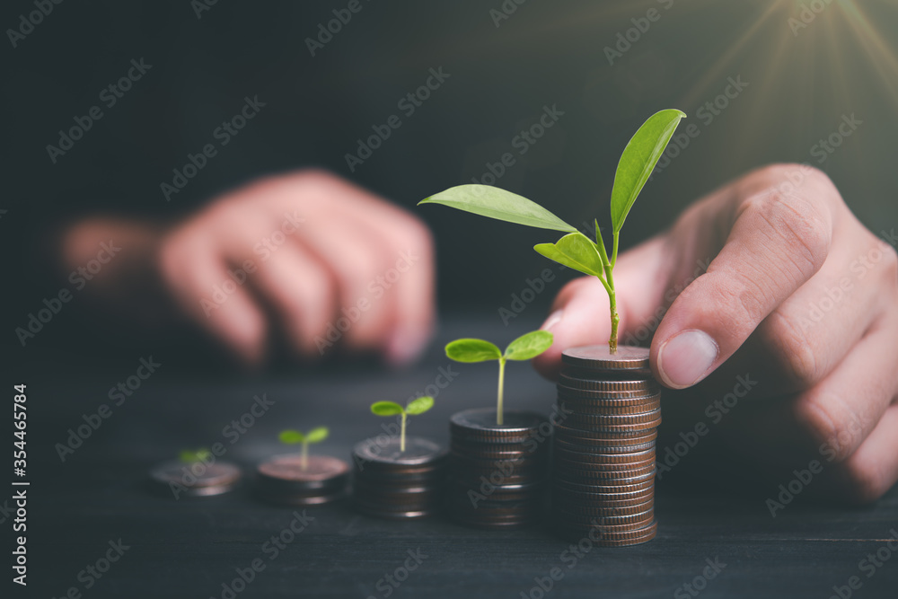 Investor hand with coin and plant growing putting coins to stacking for ...