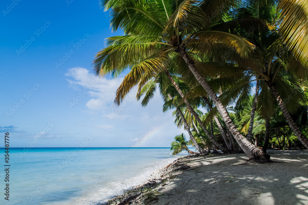 Caribbean sea tropical landscape in Dominican republic with palm trees ...