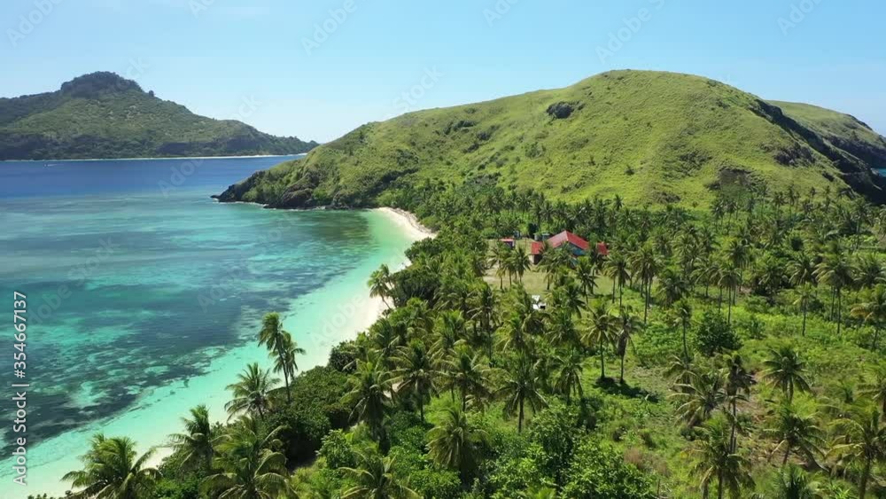An aerial view shows palm trees on Yanuya Island, Fiji. vídeo de Stock ...