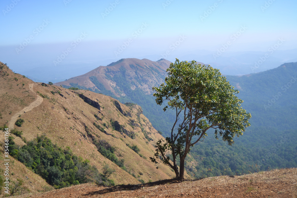 Foto de Kudajadri Hills or Kodachadri Hills in Karnataka India, it is a ...