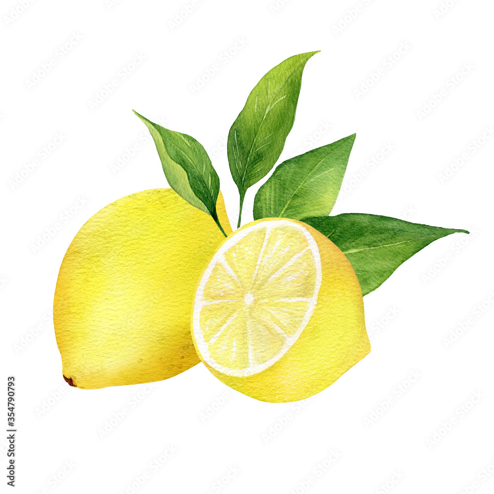 Watercolor hand painted lemon with branch of leaves. Isolated white ...