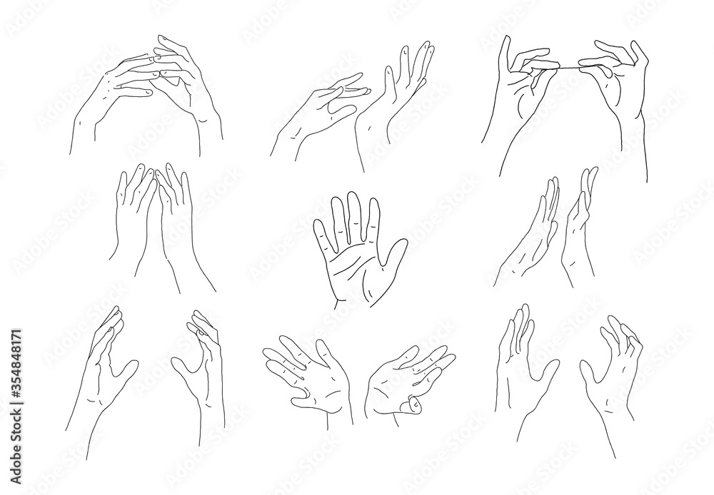 Two Hands Vector