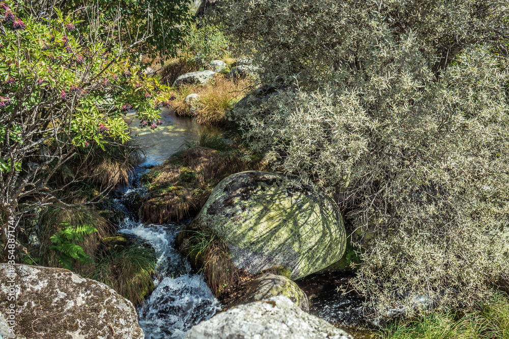 Refreshing corner with granite rocks and stream water flowing in a ...