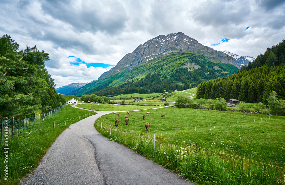 Road side landscape photo of green nature of Swiss Alps, near Nufenen ...