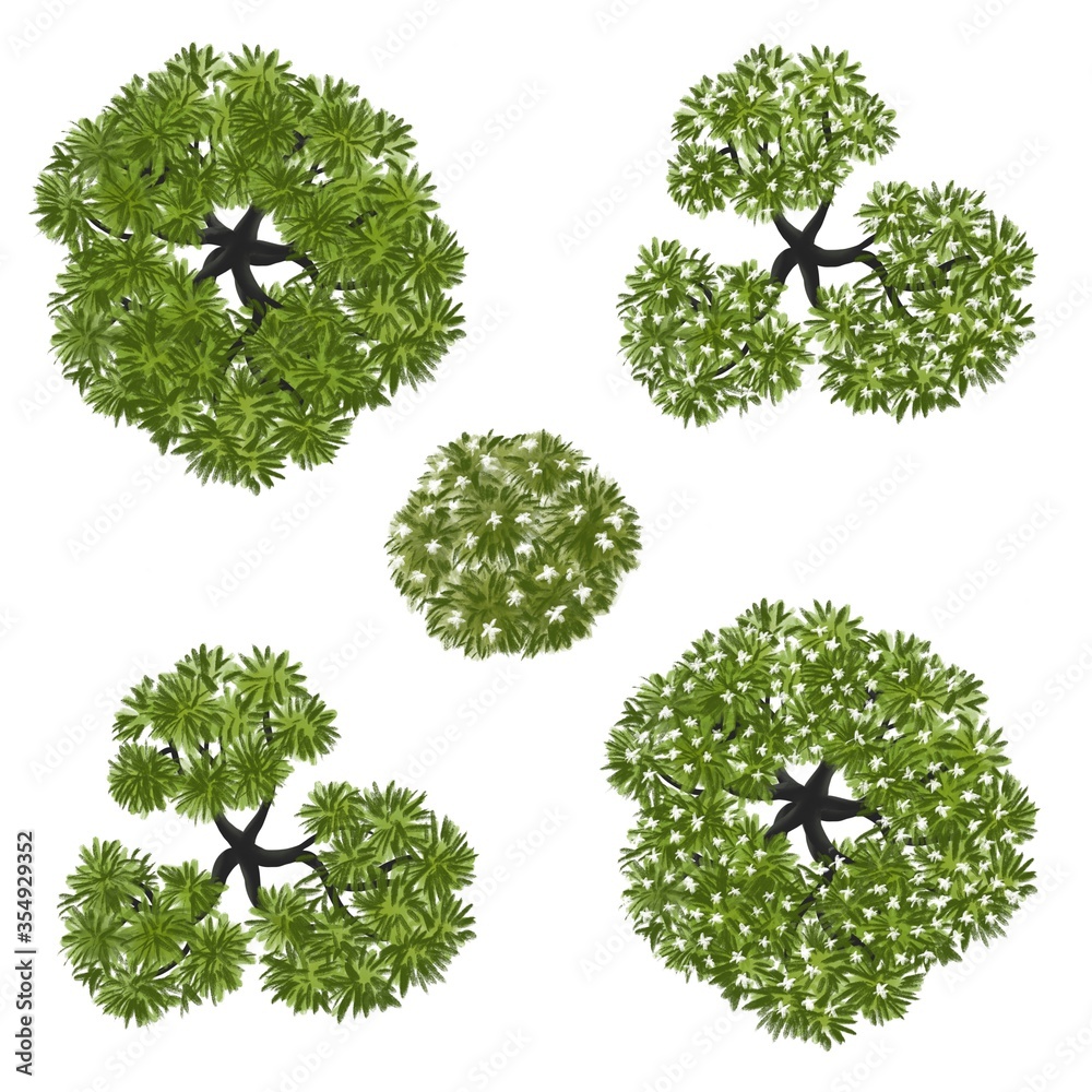 set of tree top view isolated for landscape plan and architecture ...