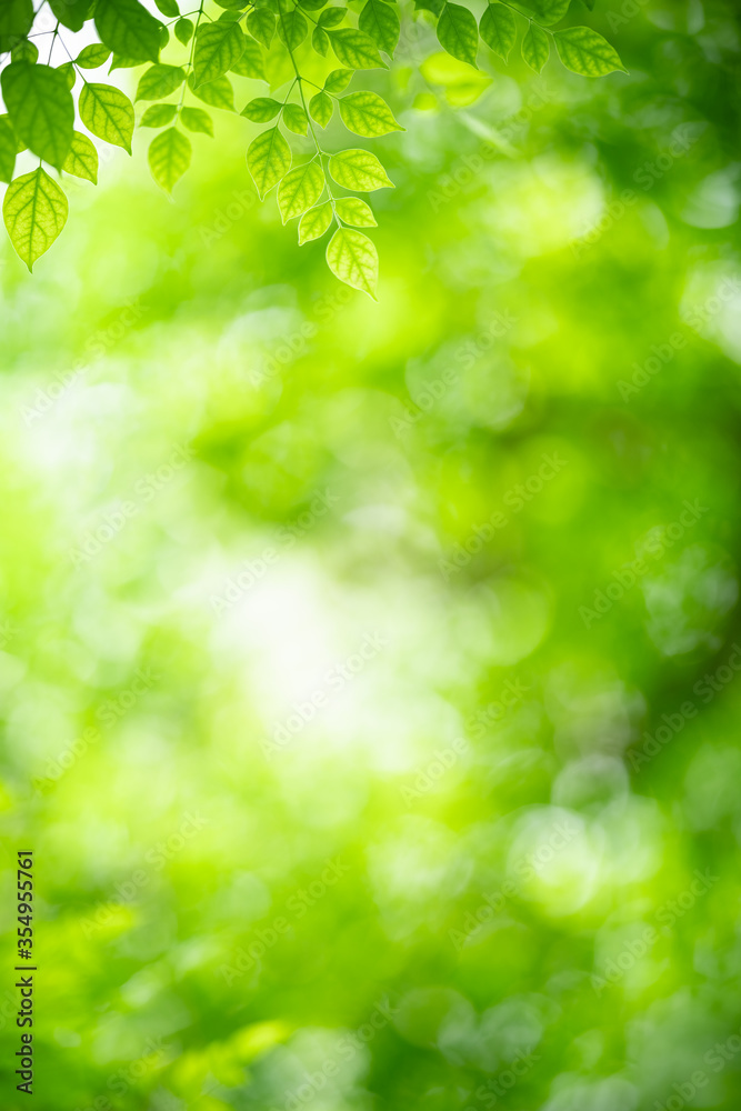 Nature of green leaf in garden at summer. Natural green leaves plants ...