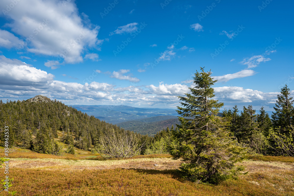 Großer Arber| Berg | Berge | Der König im Bayerischen Wald | Urlaub ...