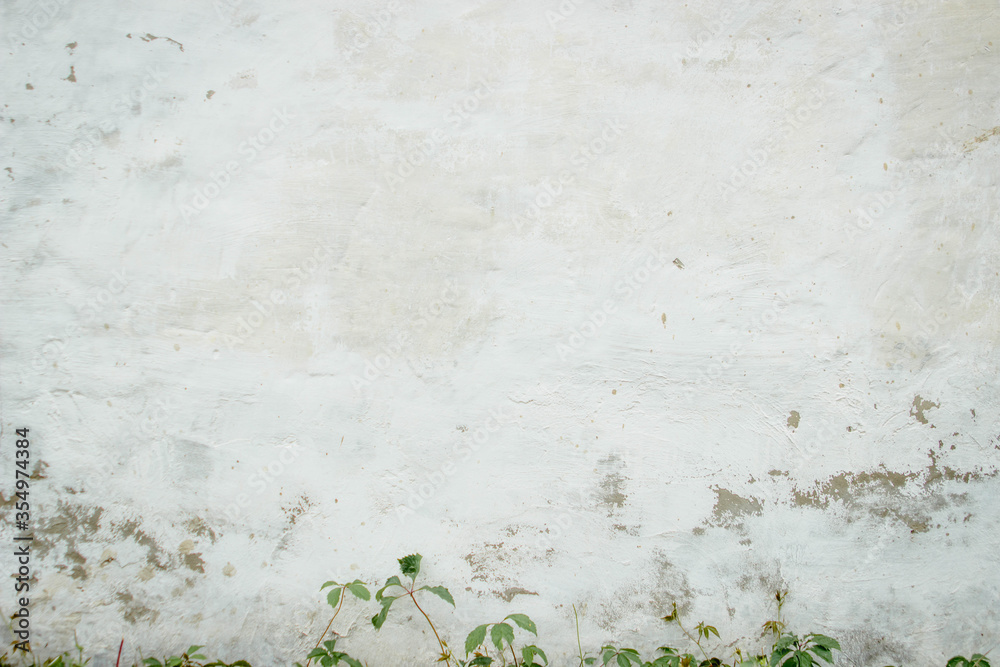old white wall. Background and texture of an old white wall, green ...