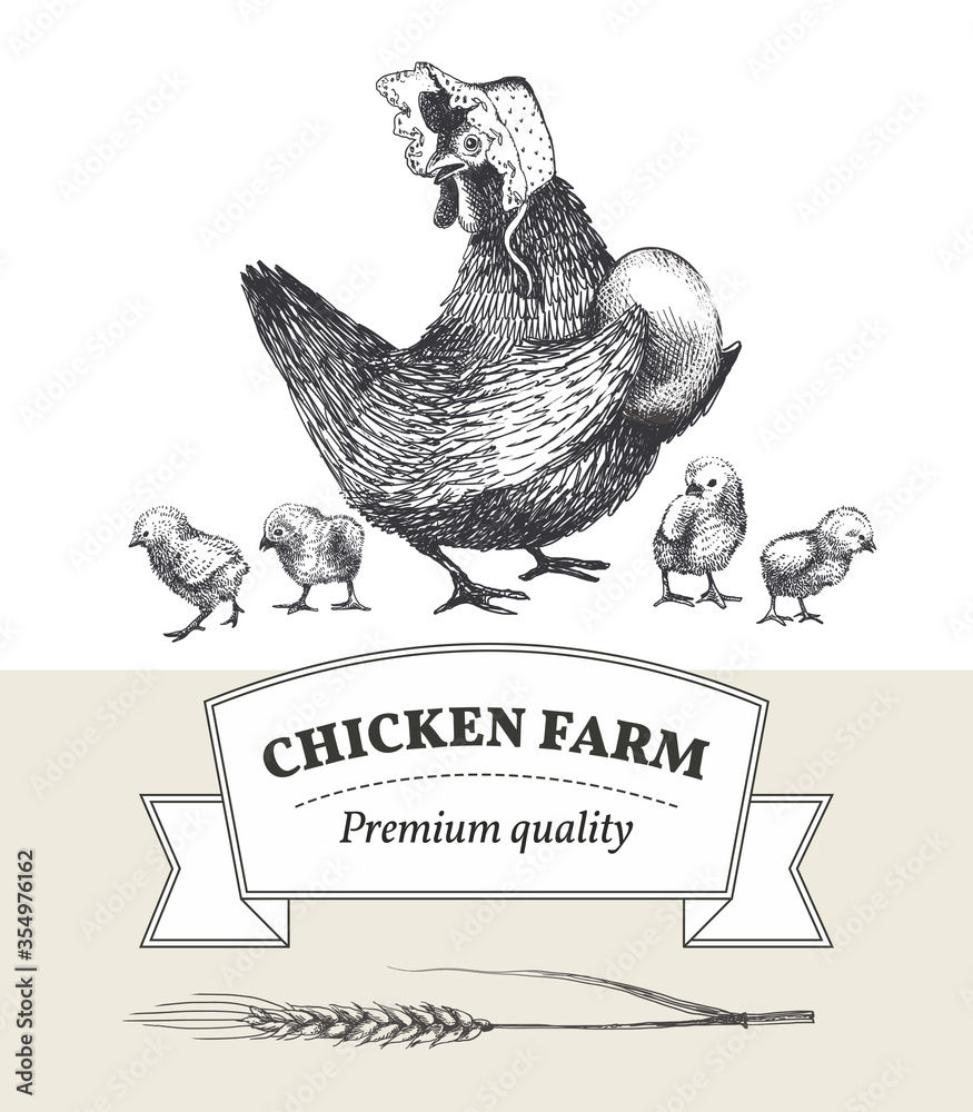 Chicken with egg and Chicks. Graphic element for the chicken farm logo ...