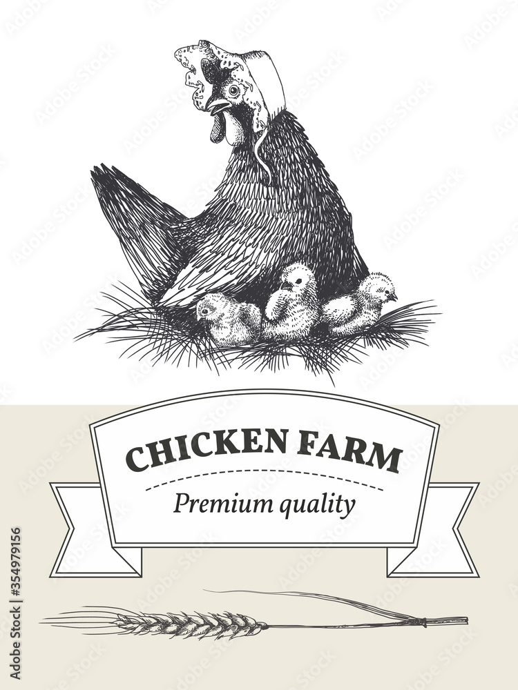 Chicken with Chicks. Graphic element for the chicken farm logo and ...
