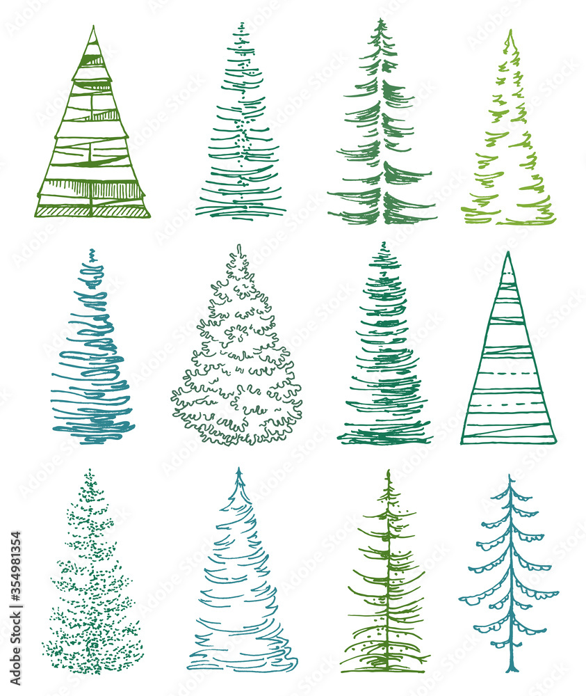 set of stylized fir trees on white. line art spruce trees with minimal ...