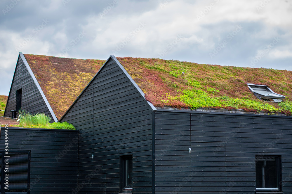 Buildings with a green roof completely covered with vegetation ...
