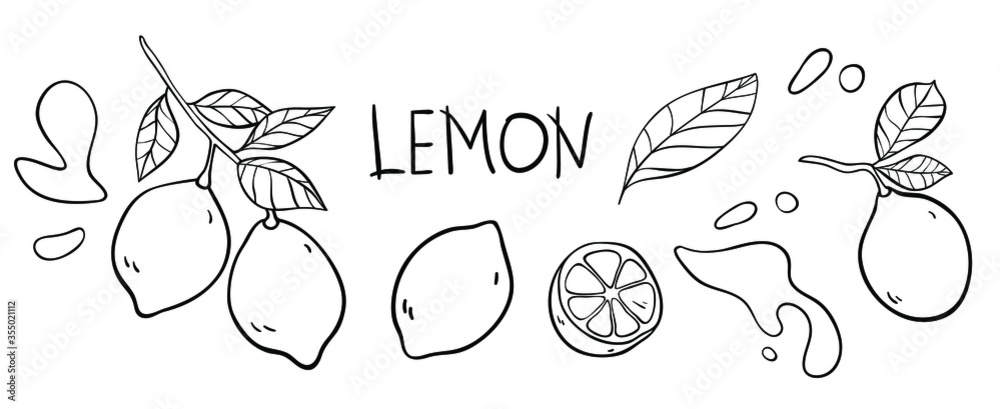 Lemon vector doodle elements and lettering set. The inscription "lemon ...
