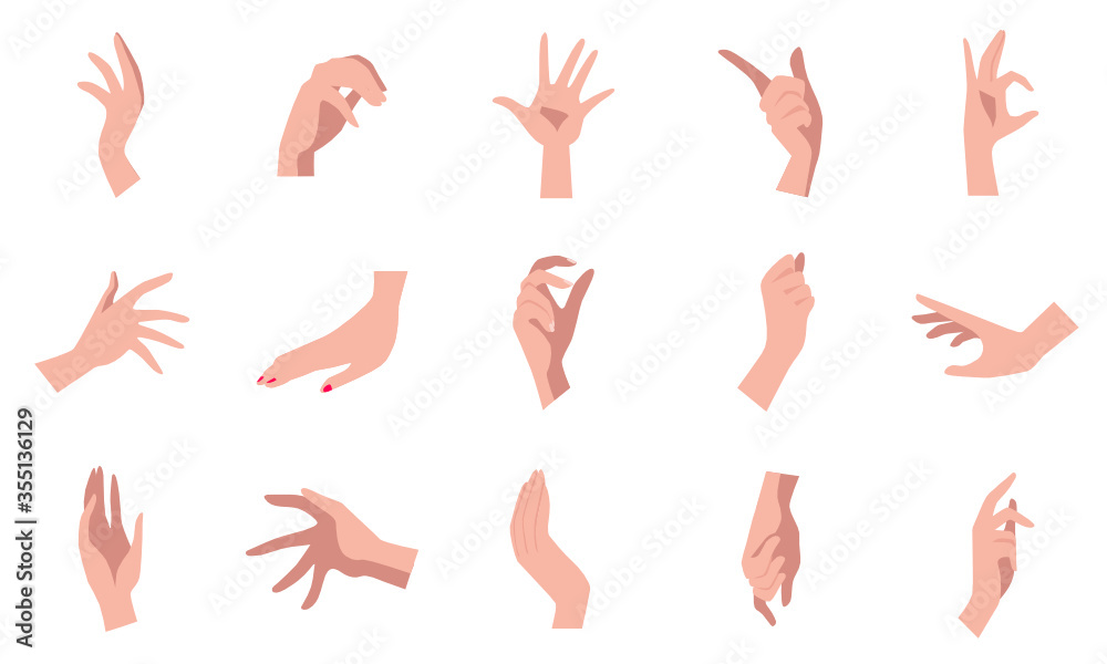 Vector collection of 15 different natural hand poses on white ...