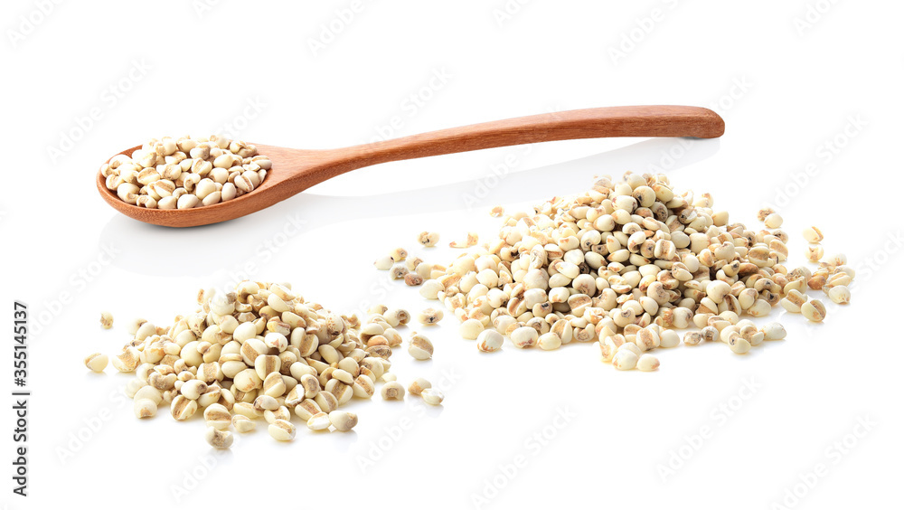 Job`s tears,Adlay,millet or Pivot in wooden spoon pile and spread ...