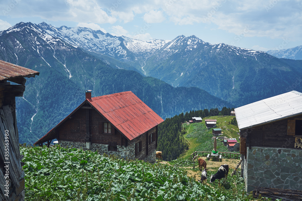 Landscape photo of Pokut Plateau with traditional wooden houses, snowy ...