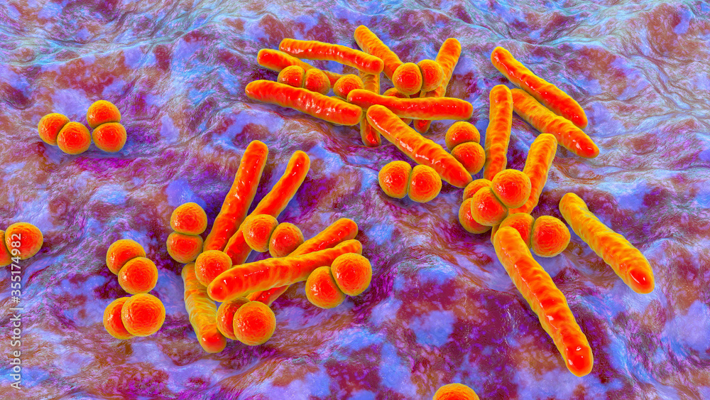 Respiratory pathogens, bacteria Mycobacterium tuberculosis and ...