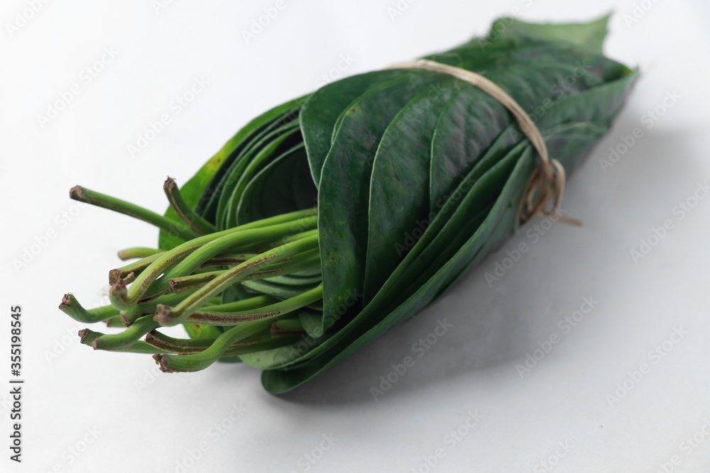Paan leaf With White Background, betel leaf Stock Photo | Adobe Stock