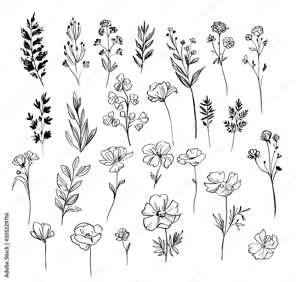 Set Of Floral And Plant Elements Vector Sketch Linear Floral Elements