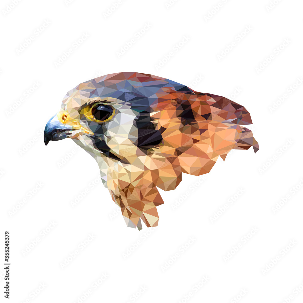 Vector triangulation of a falcon head close-up on whit background.Made ...